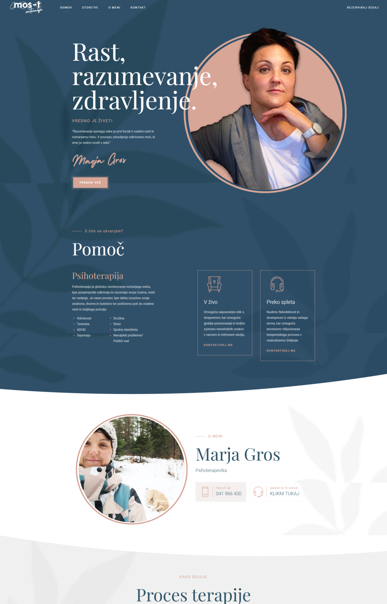 Izdelava spletnih strani in trgovin - Zenith Solutions